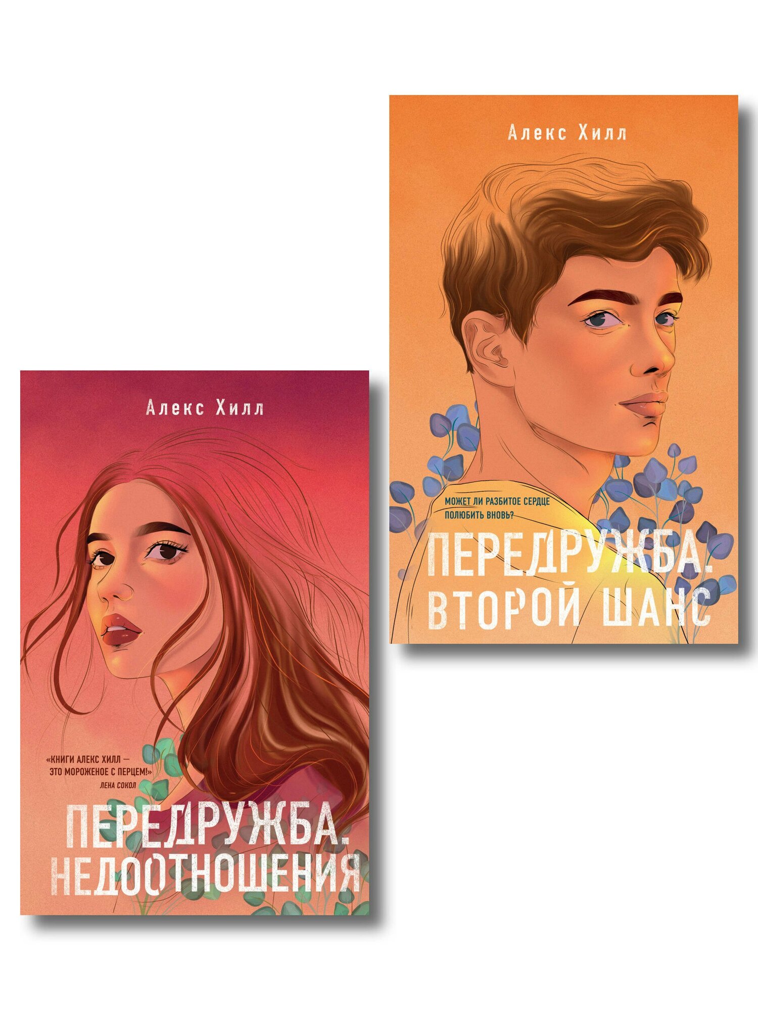 Комплект из двух книг: Передружба. Недоотношения +