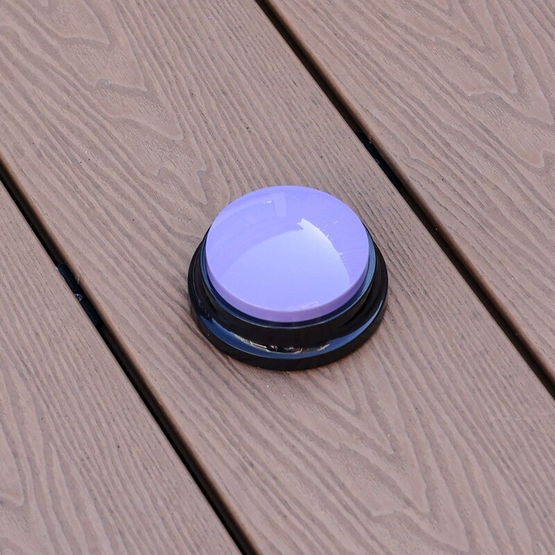 Интерактивная кнопка для обучения речи в детском саду: запись голоса, обучающая игрушка для родителей и детей, кнопка