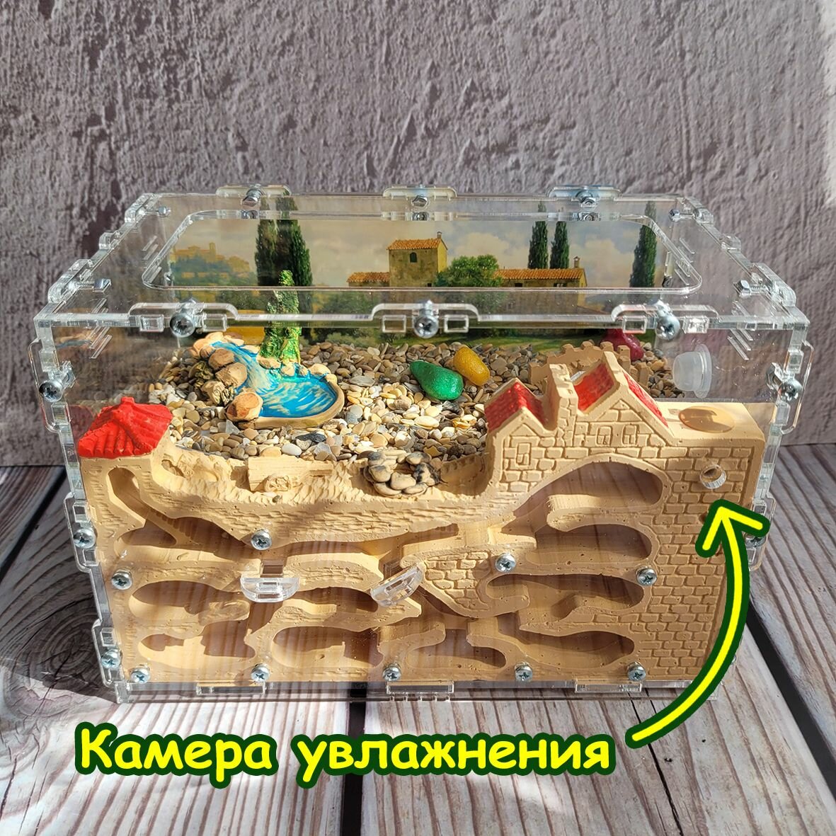 Муравьиная ферма — фото 1
