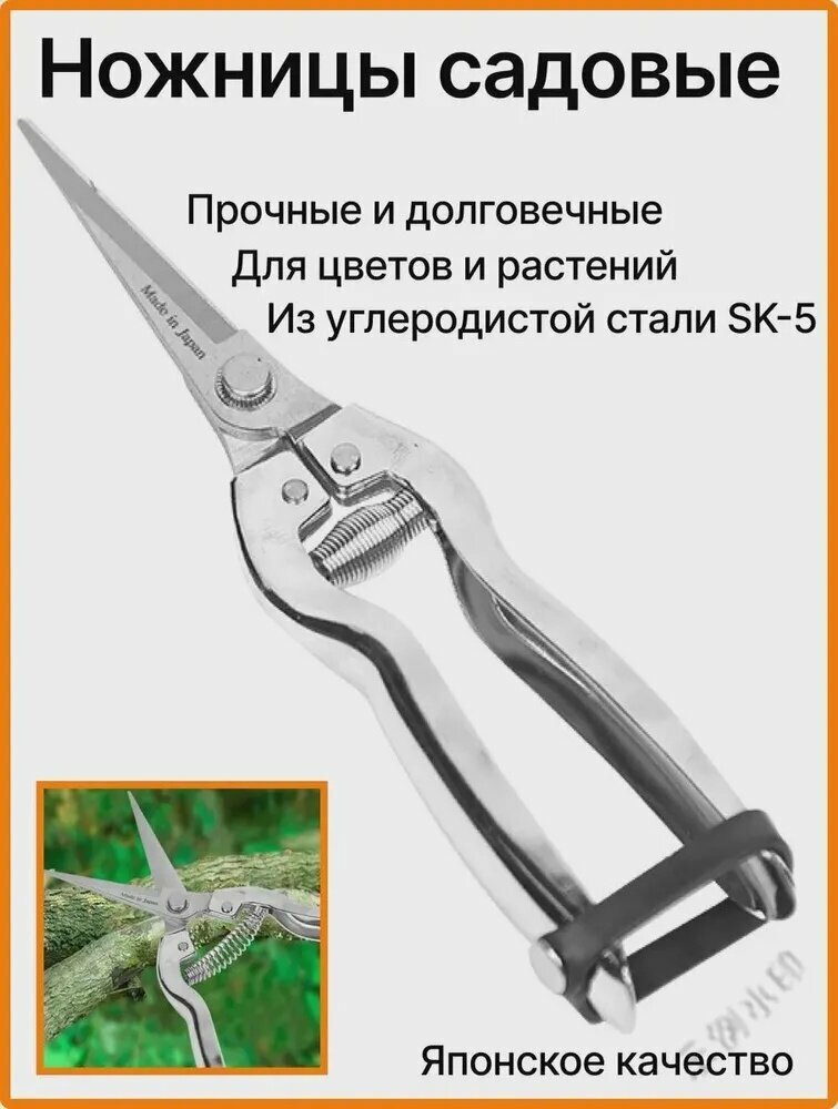 Сучкорез