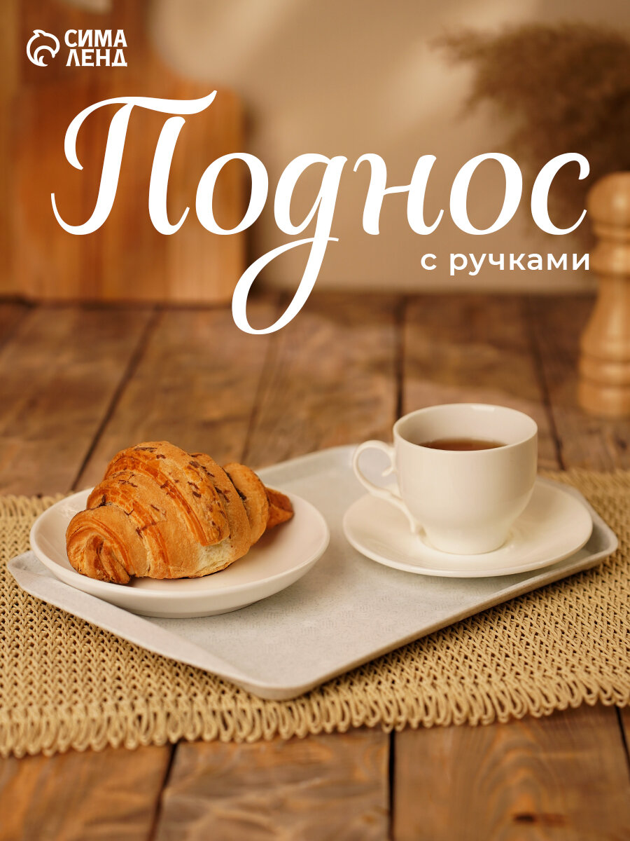 Поднос Петропласт «Дональд», 30×21 см, пластиковый, цвет микс