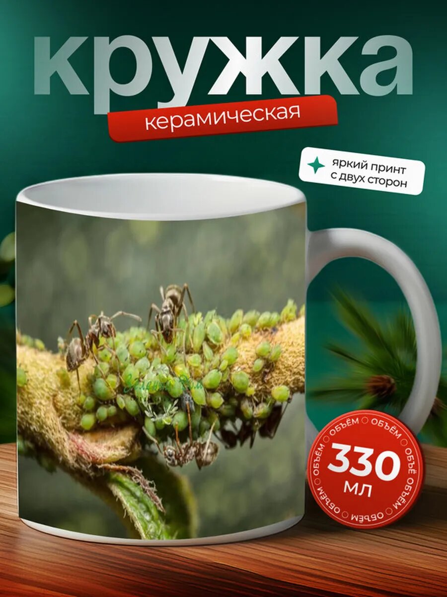 Кружка Муравей насекомое 12,