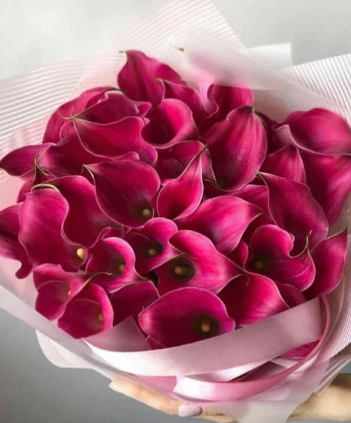 Премиум букет из красной каллы, премиум цветы, шикарный, красивый букет цветов.