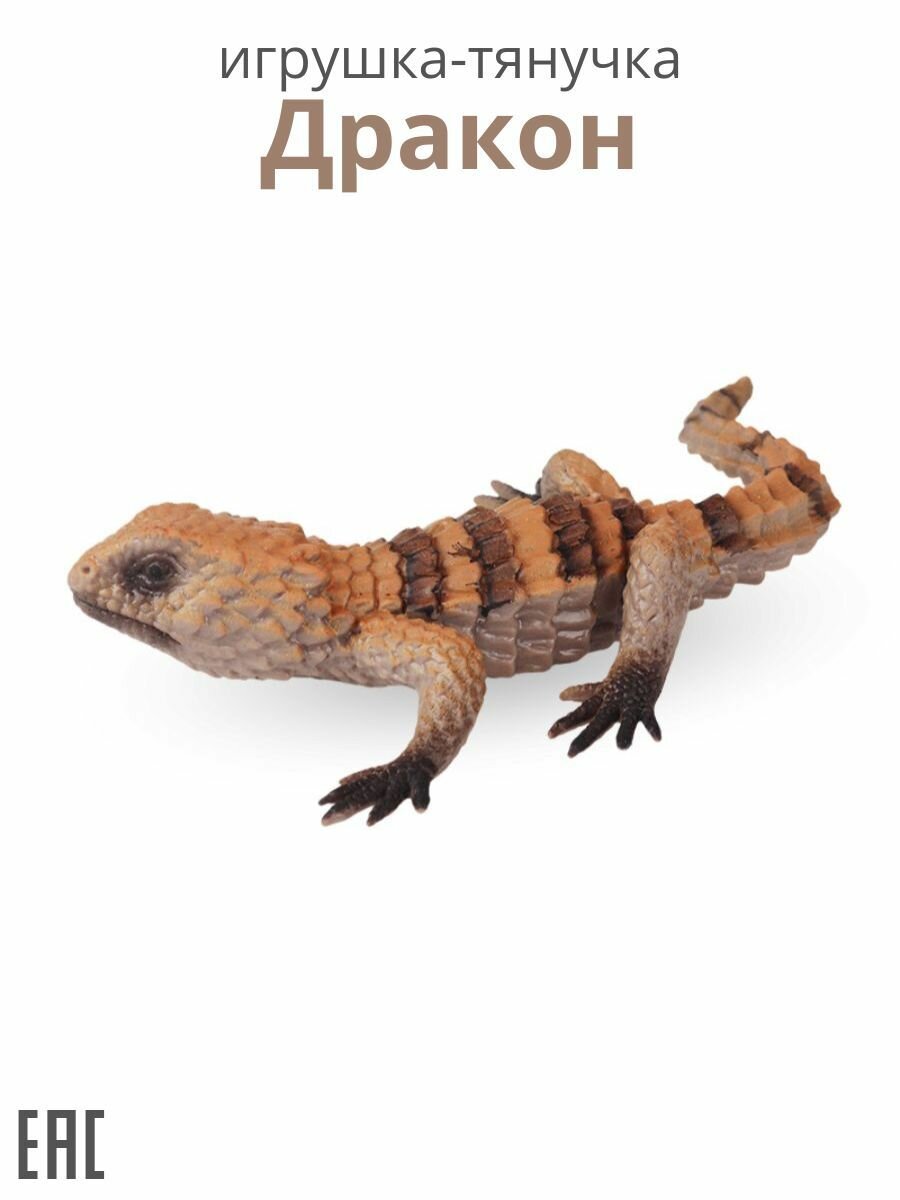 Ящерица дракон тянучка антистресс / Ящерица антистресс