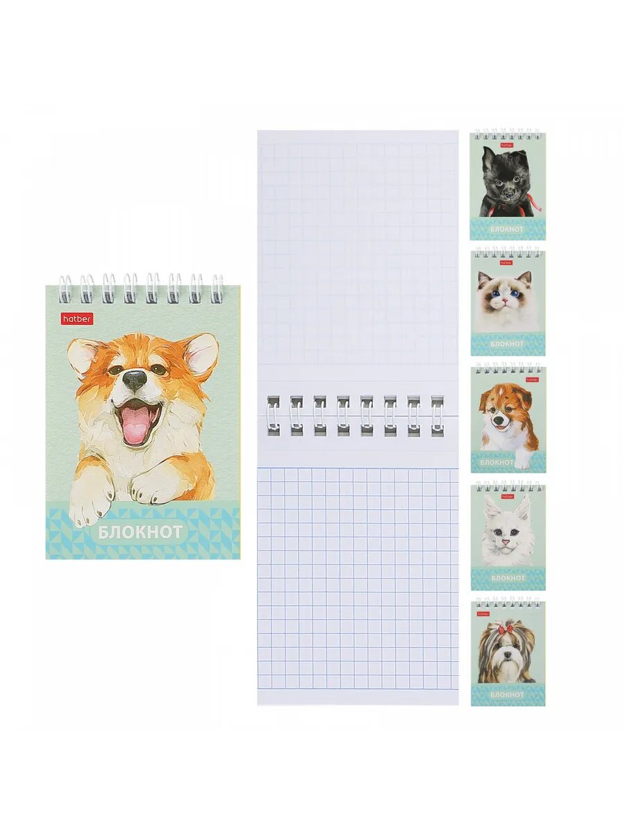 Блокнот на кольцах