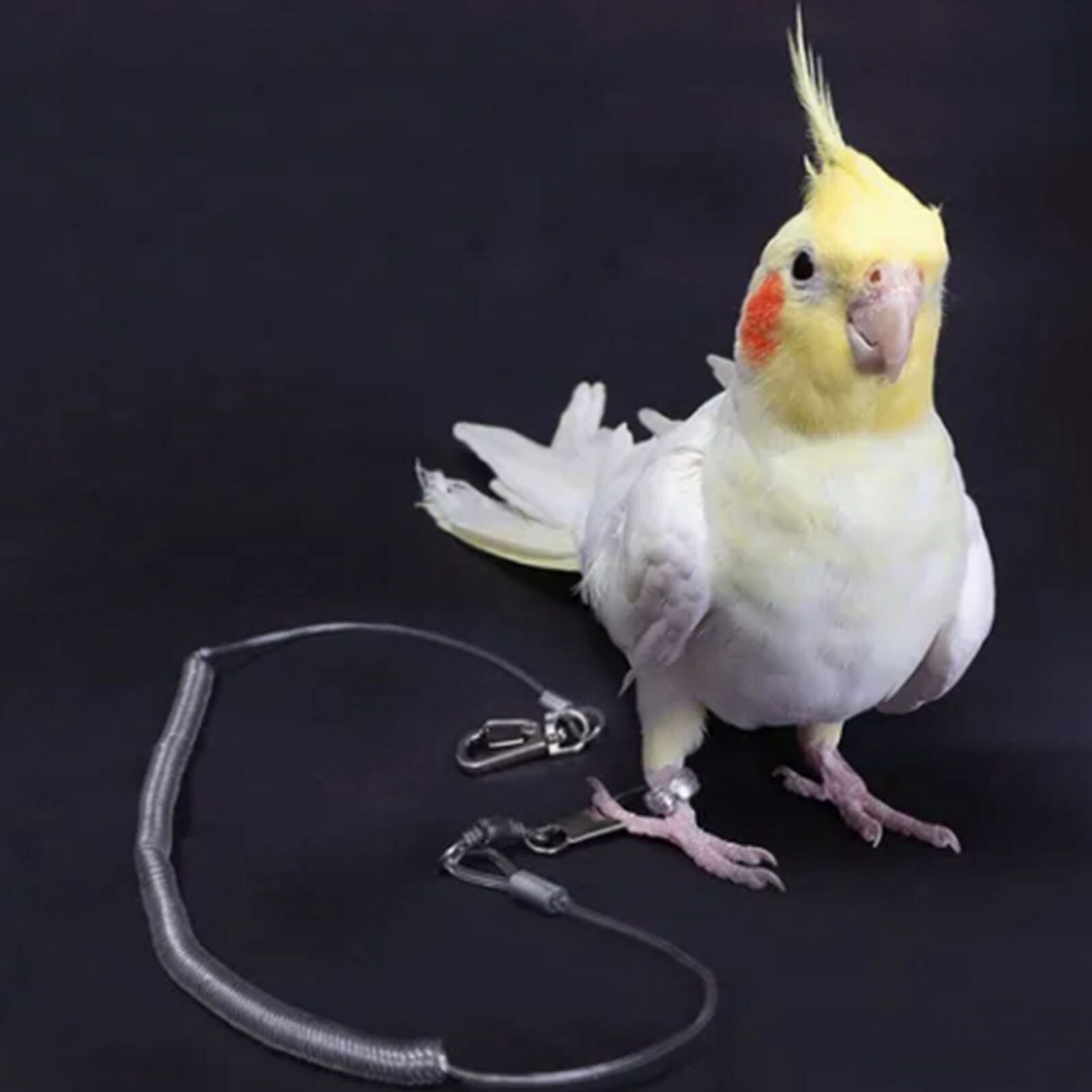 Поводок для птиц 19,7 футов ультра легкий, предотвращает укусы, гибкий, портативный, тренировочный канат для птиц, попугаев