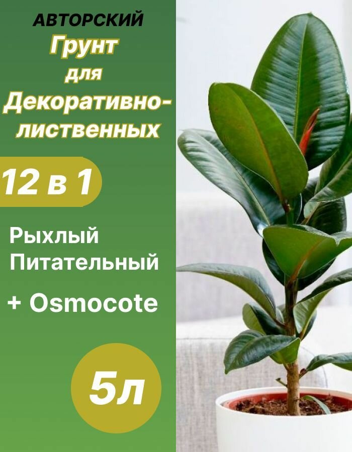 Грунт для декоративно-лиственных 5л готовый