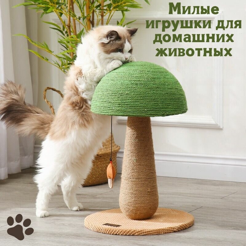 Когтеточка, когтеточка для кошек в форме гриба, уход за домашними животными, игрушки для домашних животных, зеленый