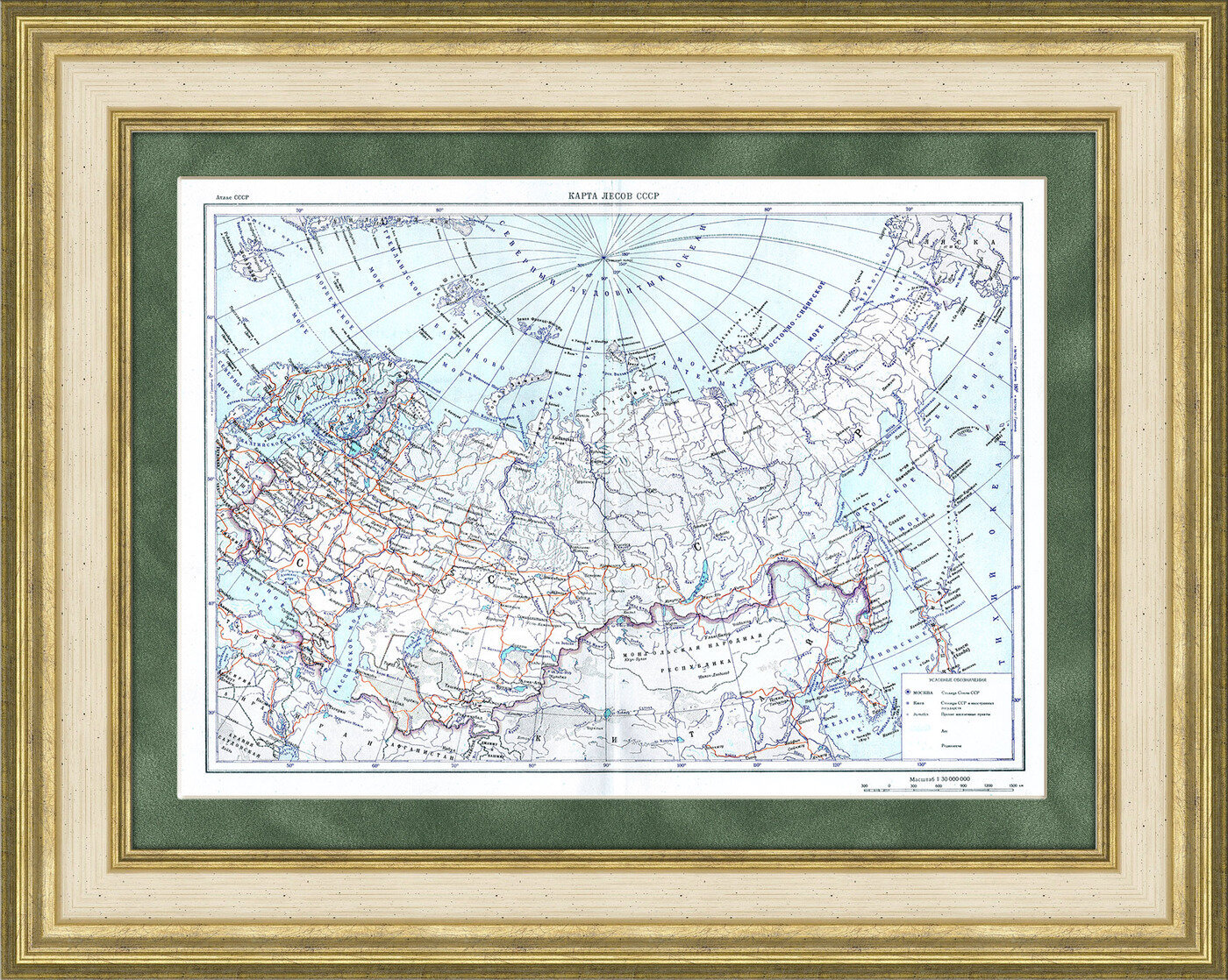 Старинная Карта лесов СССР, 1955 г.