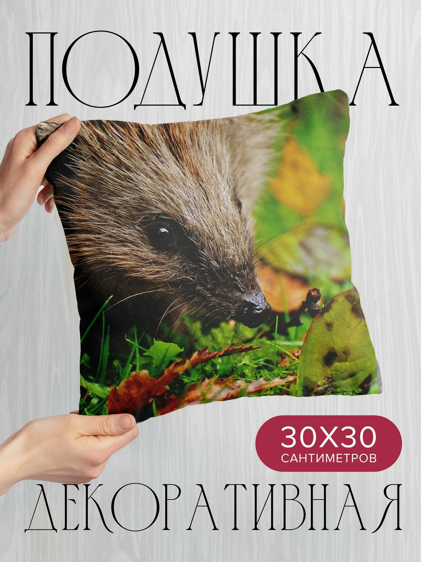 Подушка декоративная, 30x30см / Животные / ежик / мордочка
