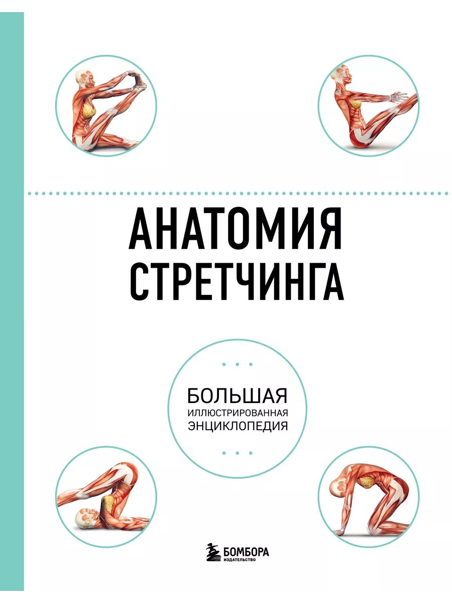 Анатомия стретчинга. Большая иллюстрированная энциклопедия