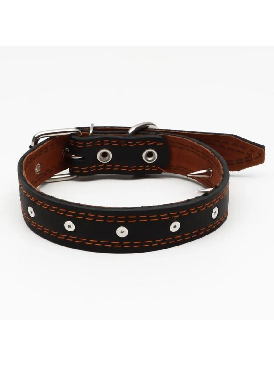 Ошейник кожаный "Строгий шип", 65 х 3 см, ОШ 40-55 см, чёрны