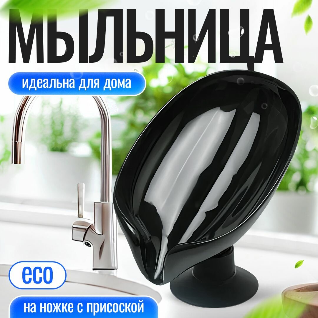 Мыльница