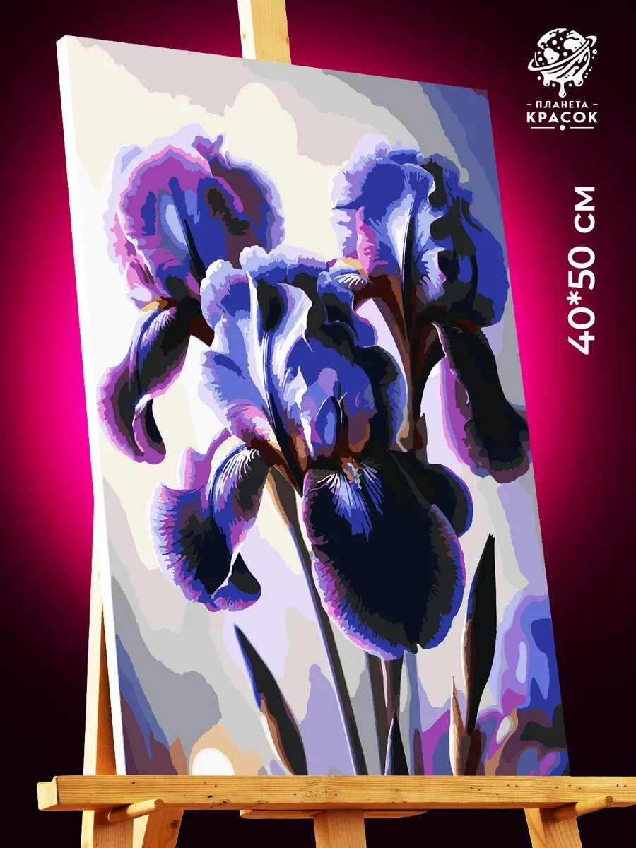 Картина по номерам Ирисы на холсте 40х50