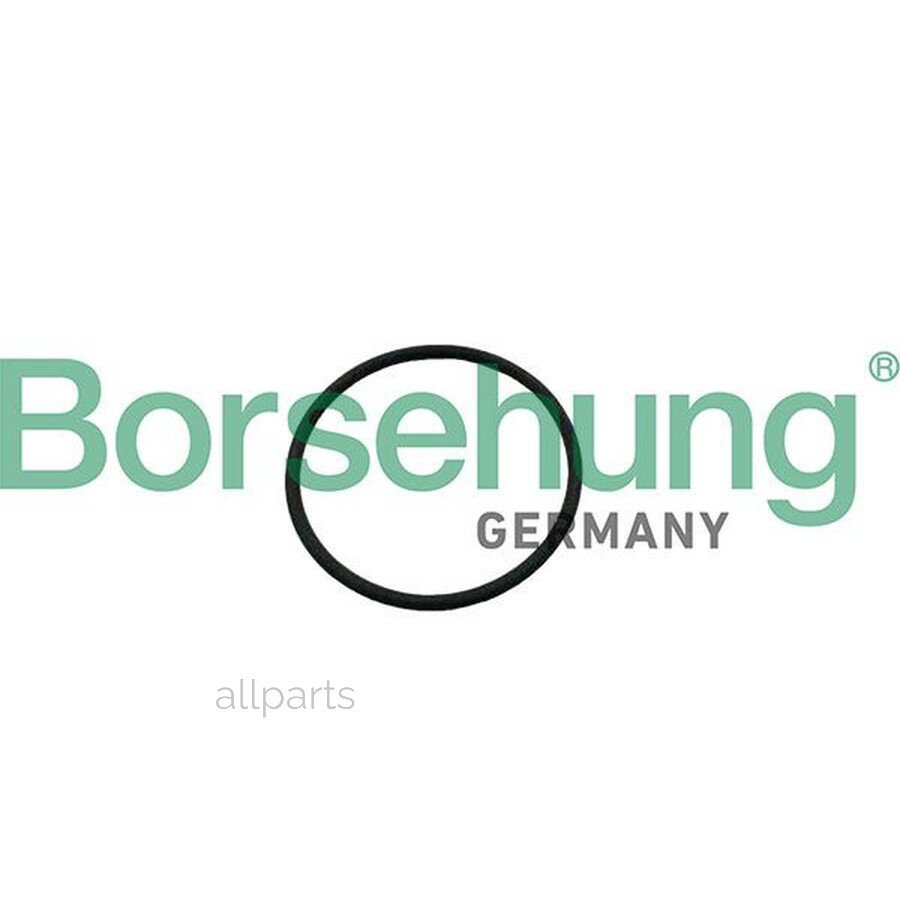 BORSEHUNG B12926 Кольцо уплотнительное