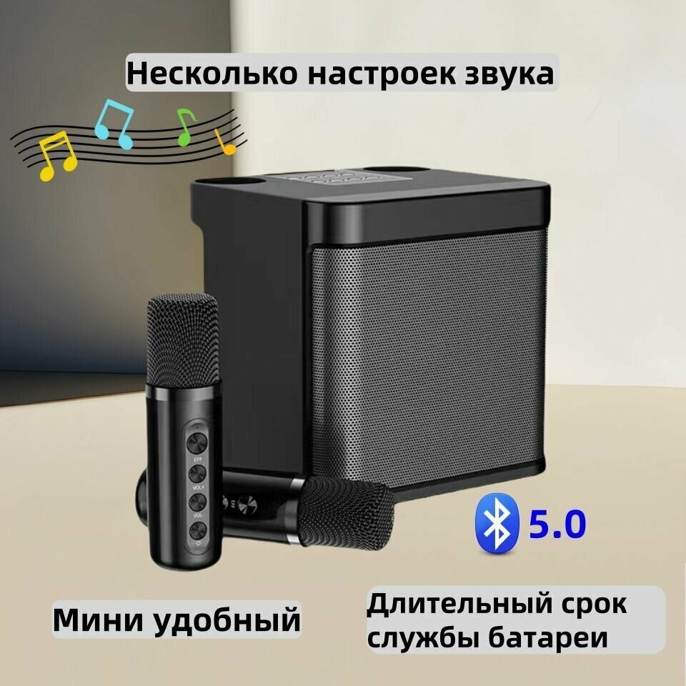 Караоке-система Караоке система для дома с двумя микрофонами