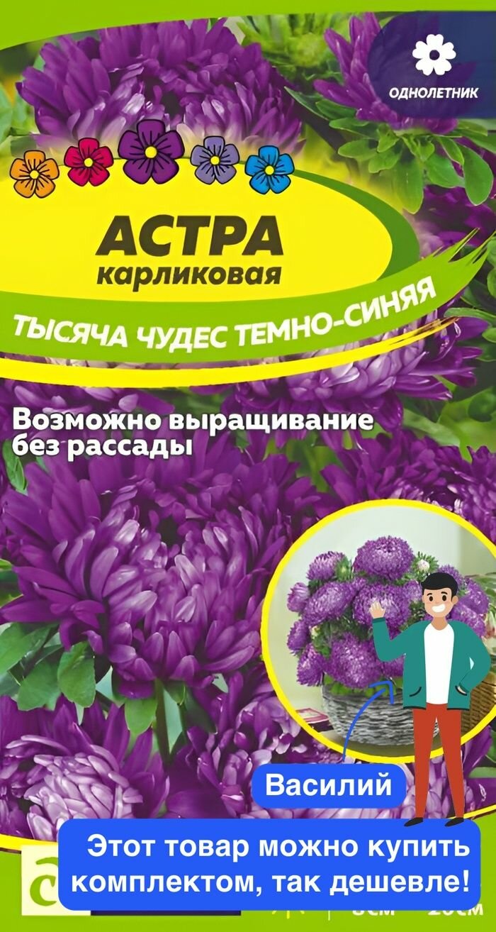 Семена цветов Семена Алтая "Астра Тысяча чудес темно-синяя карликовая", 0,2 гр.