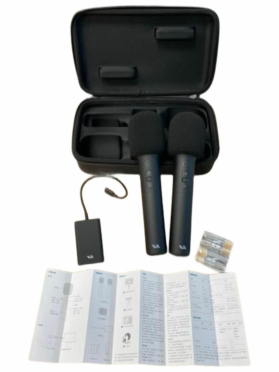 Микрофоны Lixiang 2 версия, для караоке электромобилей Lixiang L9, L7, L6 L8 беспроводные, Комплект 2 шт