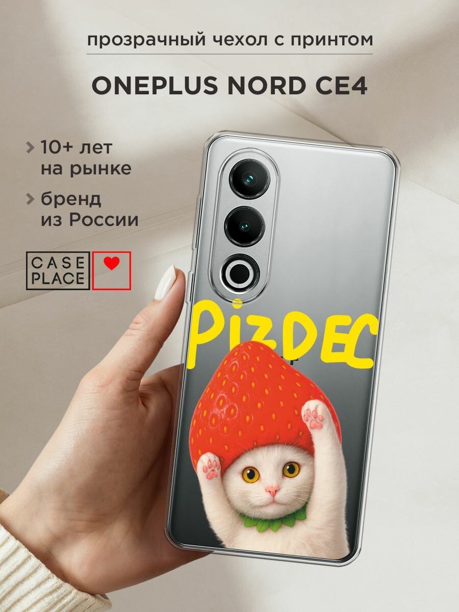 Чехол на Oneplus Nord CE4 / Ван Плас Норд СЕ4 с принтом "Котик с надписью", прозрачный