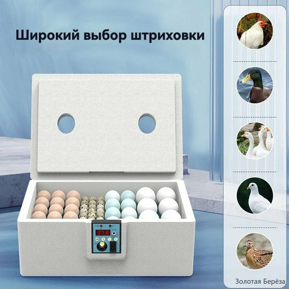 Инкубатор для яиц — фото 1