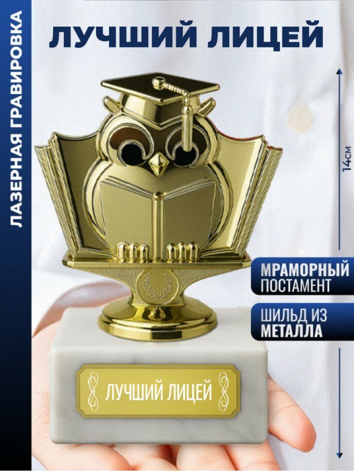 Статуэтка Учёная сова "Лучший лицей"
