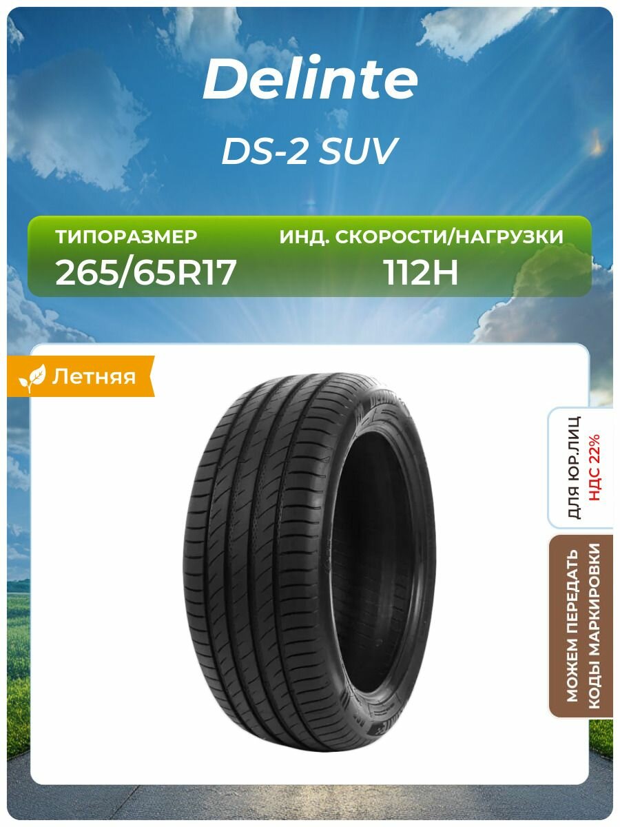 Шина Delinte DS-2 SUV