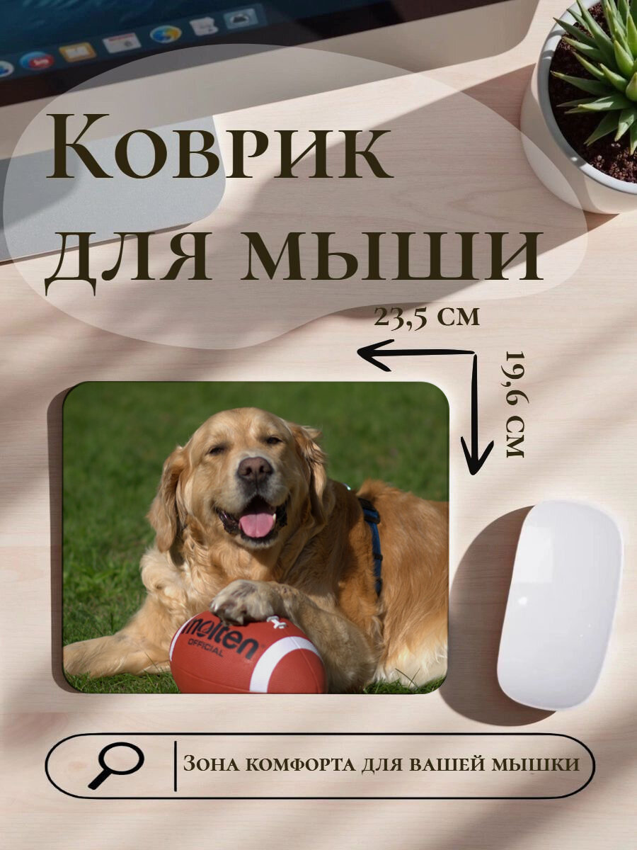 Коврик для мыши золотистый ретривер с мячом