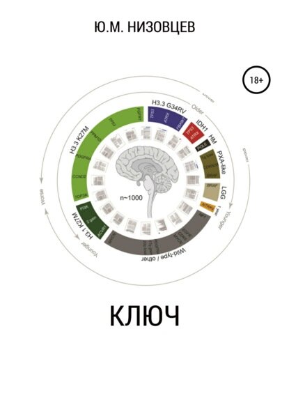 Ключ [Цифровая книга]