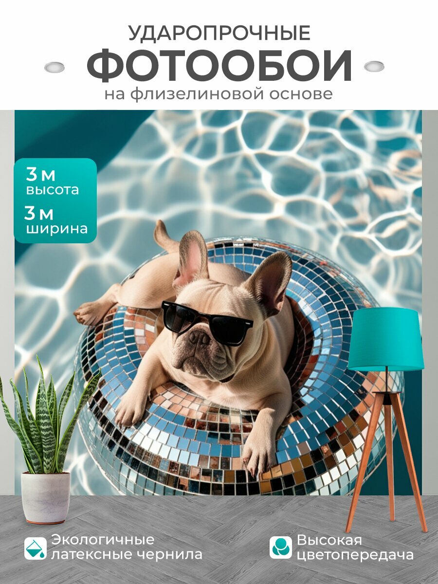 Фотообои моющиеся ударопрочные владельцам собак, любителям ретро, ценителям винтажного стиля, фотографам, дизайнерам интерьеров, поклонникам французских" 300x300 см. флизелиновые на стену