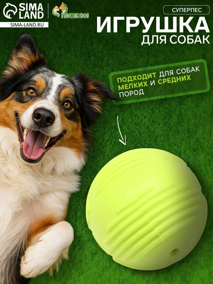 Мяч для собак «Суперпес», 6.5 см, рифленый, TPR, жёлтый