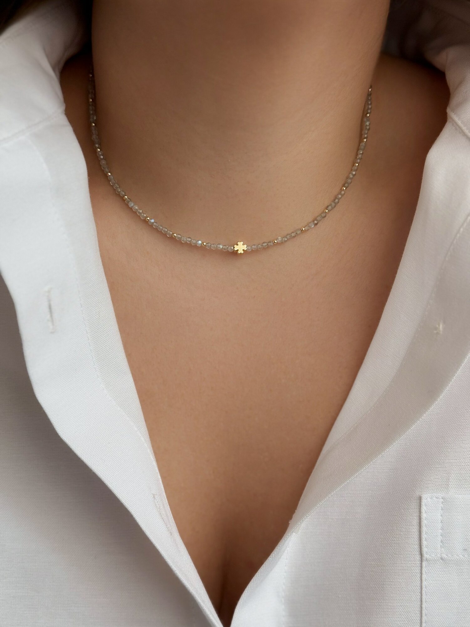 Колье, лабрадор