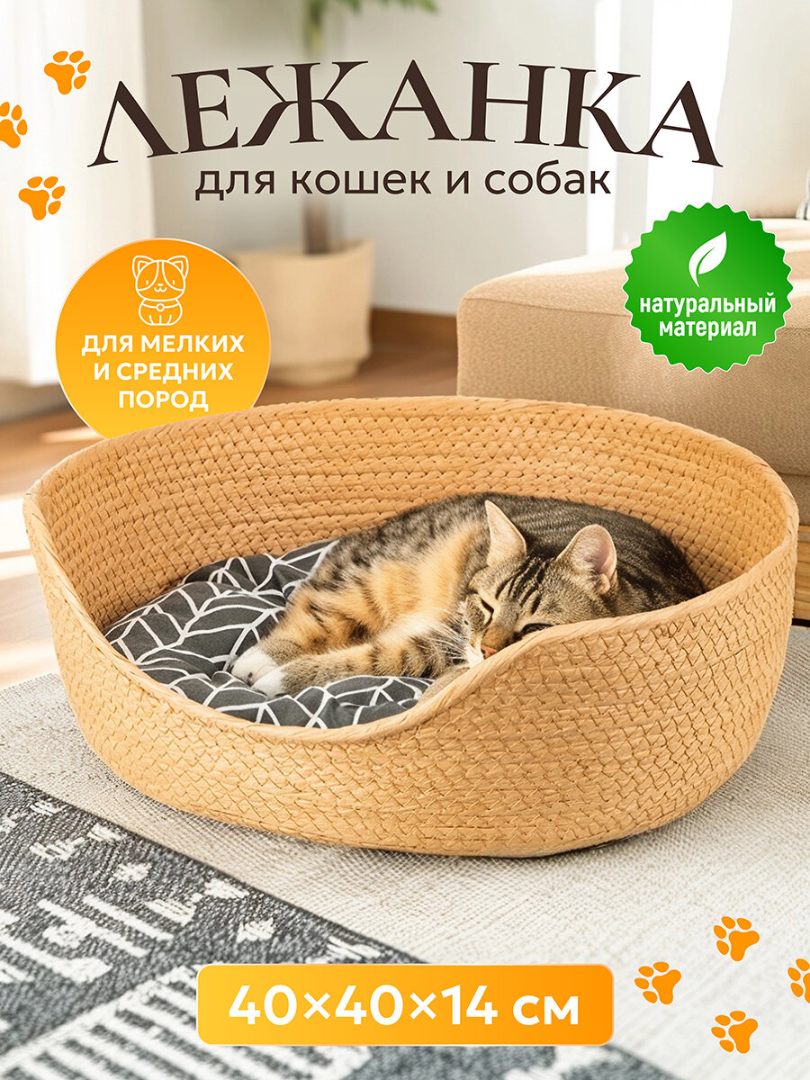 Лежанка плетёная для кошек и собак 40х40х14 см EL Casa, с подушкой