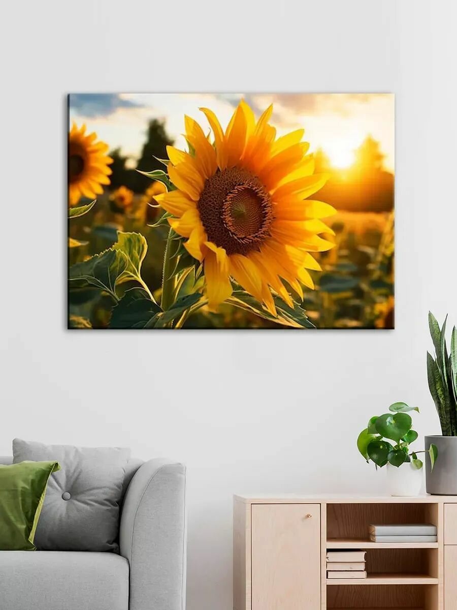 Картина на стену "Подсолнухи", 40х30 см