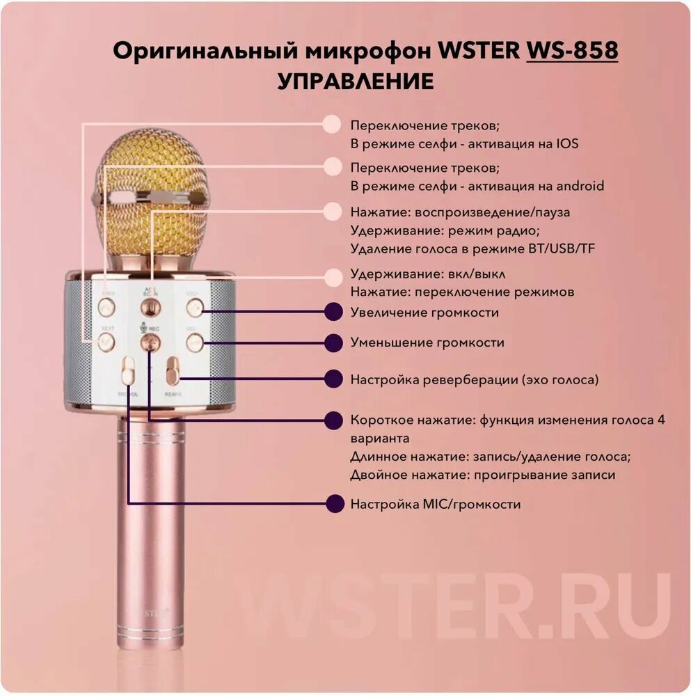Акустическая система "卡拉" WS-858, с микрофоном, 4 голосовых режима