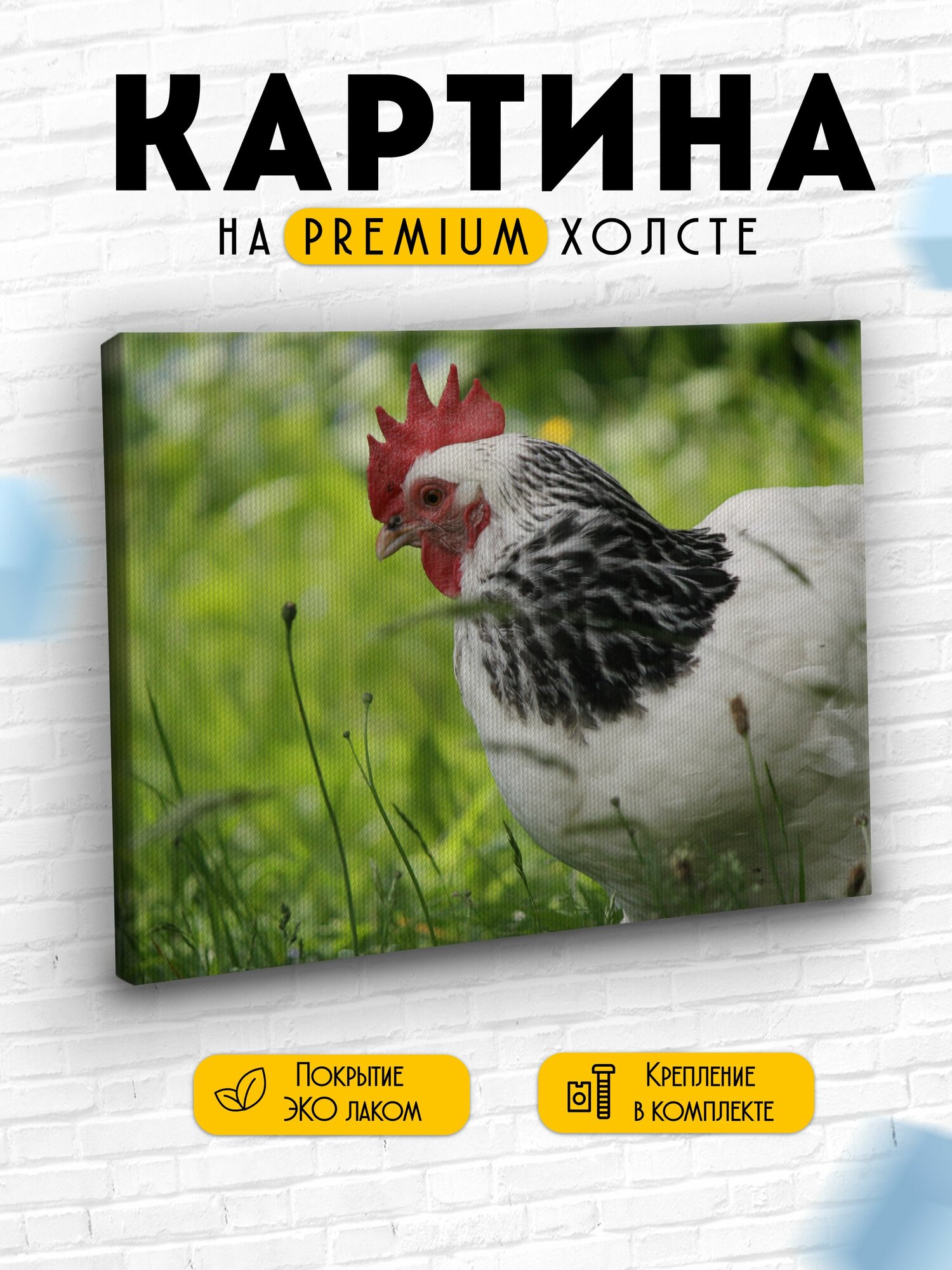 Картина, Петух, картина для интерьера