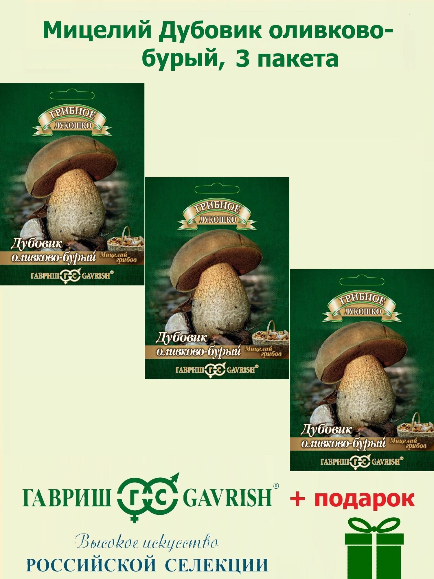 Набор Мицелий Дубовик оливково-бурый на зерновом субстрате, 3 пакета, Гавриш