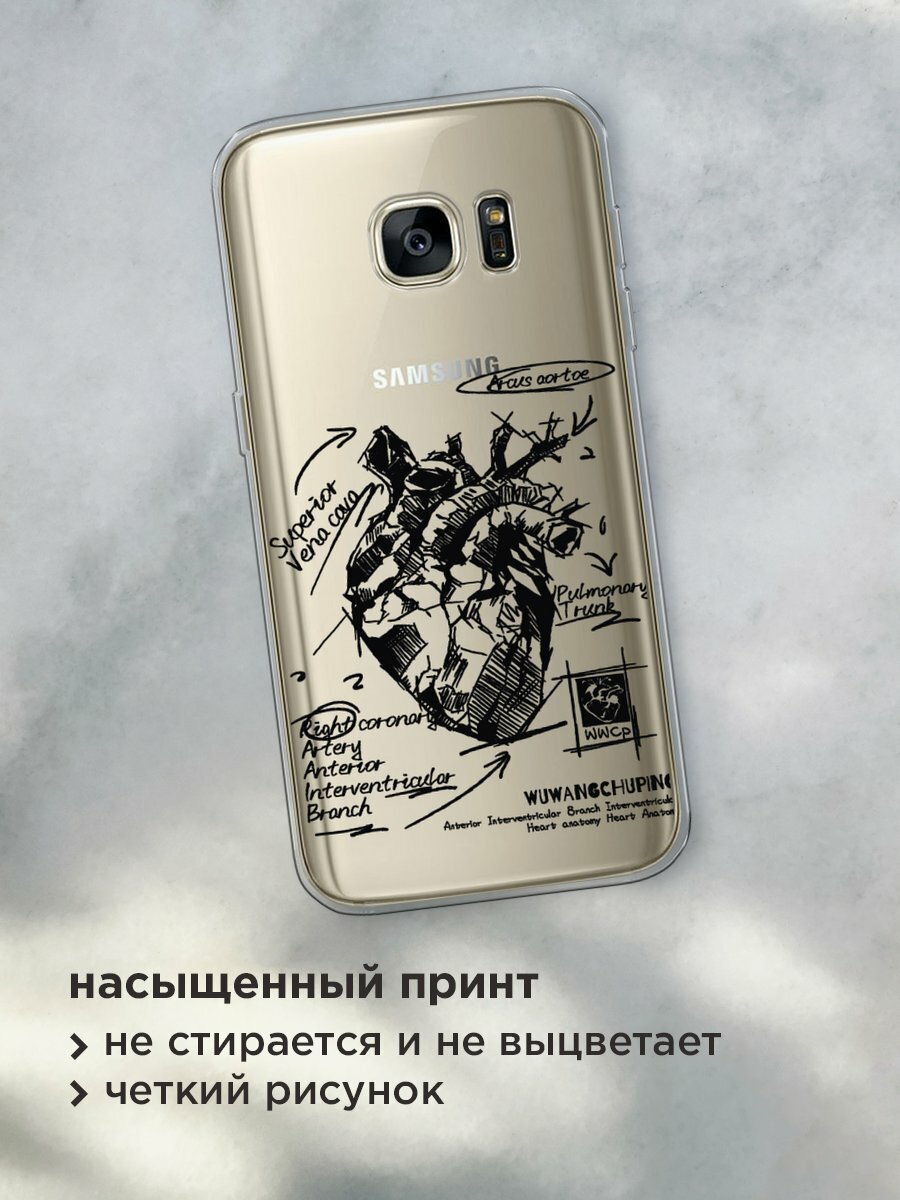 Чехол на Samsung Galaxy S7 / Самсунг Галакси С 7 с принтом "Анатомическое сердце 2", прозрачный — фото 1