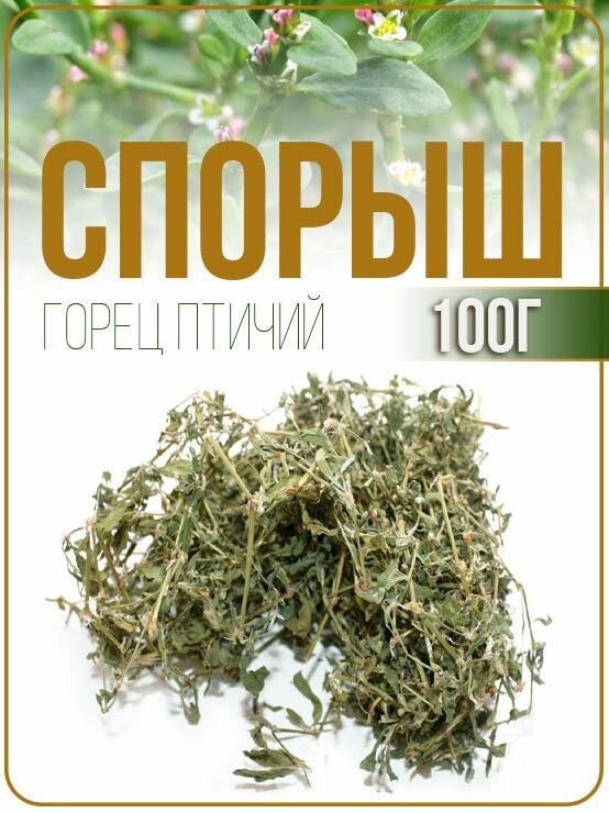 Спорыш горец птичий, чай травяной сбор, 100 г