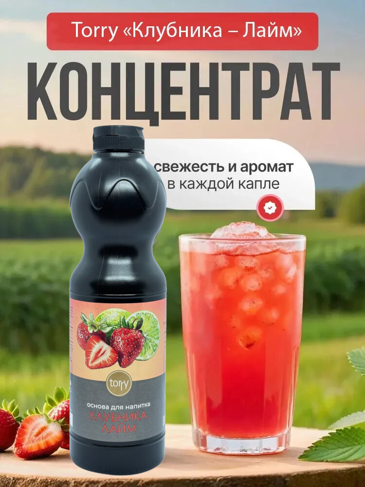 Основа Torry "Клубника-Лайм", для напитков, коктейлей, десертов, пластиковая бутылка, 1 кг