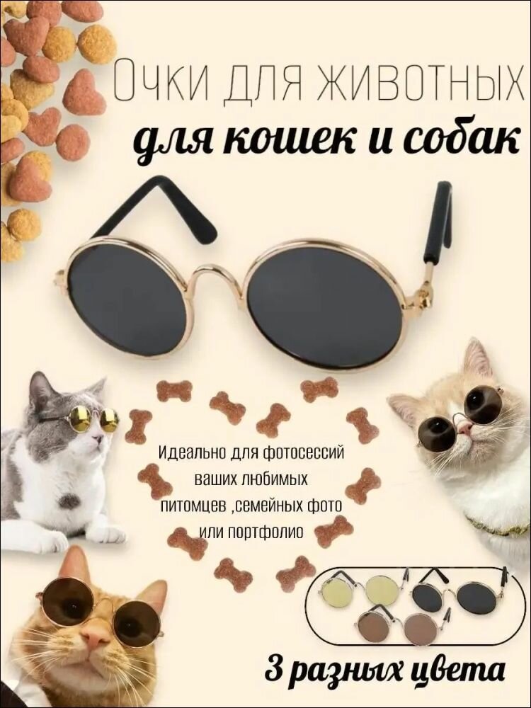 Солнцезащитные очки для кошек и собак