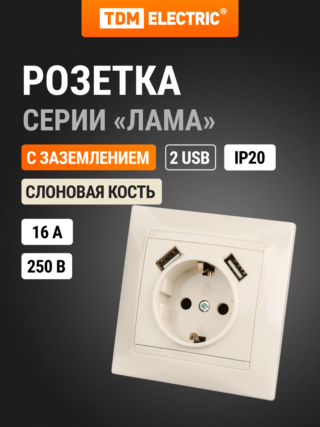 Розетка слоновая кость 2П+З 16А 250В + 2 USB порта 2,1А 5В, серия "Лама" TDM Electric