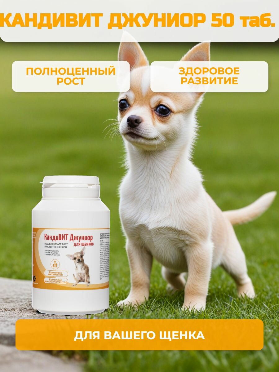 Кормовая добавка Candioli Pharma КандиВИТ Джуниор для щенков, 50 табл.