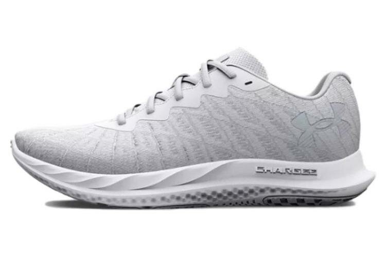 Кроссовки Under Armour Charged Breeze 2