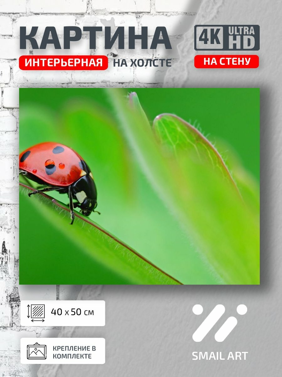 Картина на холсте интерьерная 40 на 50 на стену Травинка Landscape для кабинета пейзаж