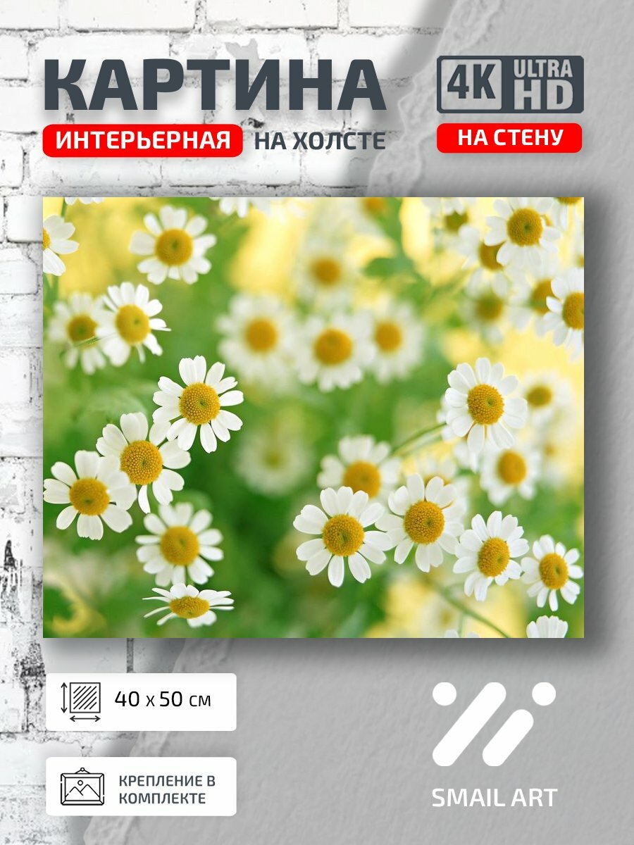 Картина на холсте интерьерная 40 на 50 на стену Ромашки Mood для гостиной атмосфера декор