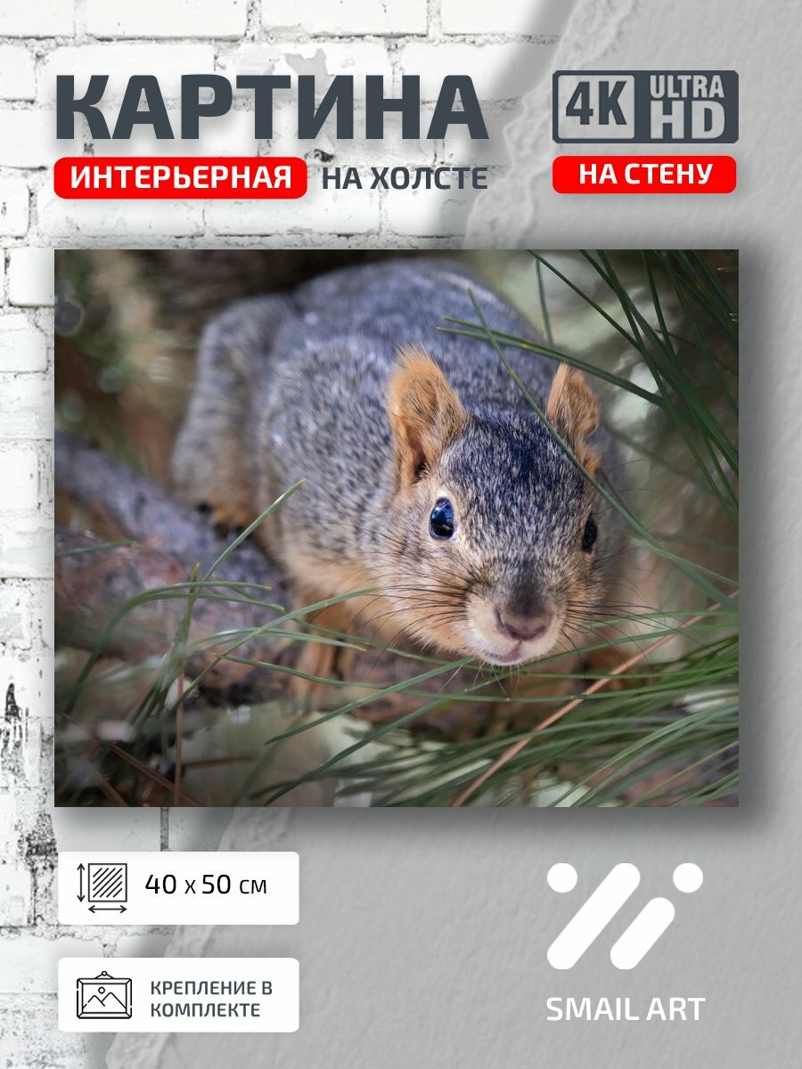 Картина на холсте интерьерная 40 на 50 на стену Сосна Mood для спальни атмосфера интерьер