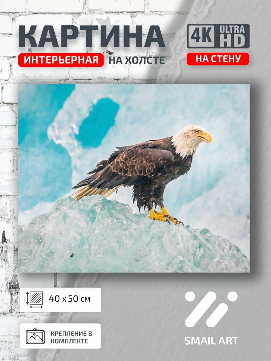 Картина на холсте интерьерная 40 на 50 на стену Айсберг Игл для гостиной атмосфера