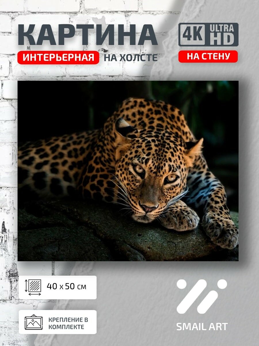 Картина на холсте интерьерная 40 на 50 на стену Животные Лео для студии атмосфера