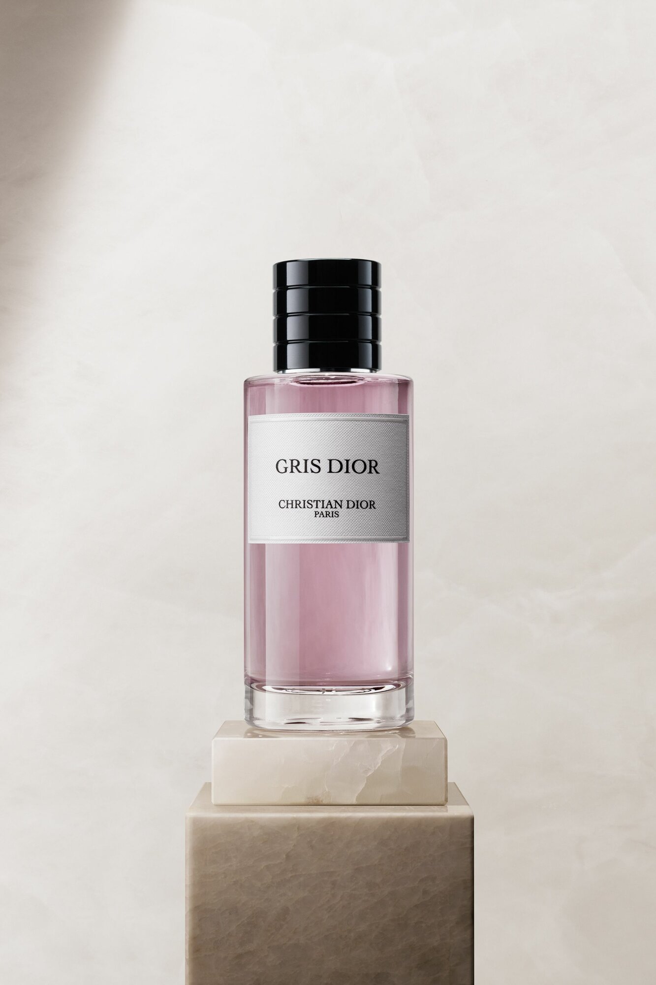 DIOR LA COLLECTION PRIVE GRIS DIOR EDP Парфюмерная вода 100 мл