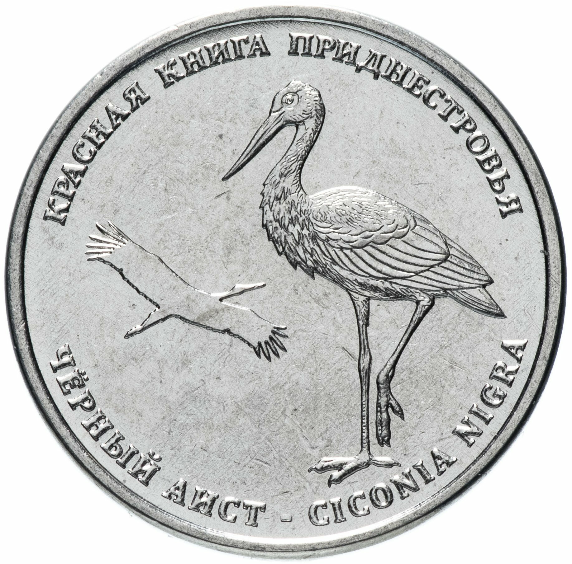 Приднестровье 1 рубль 2019 "Красная книга - черный аист", Сталь, в сохранности UNC